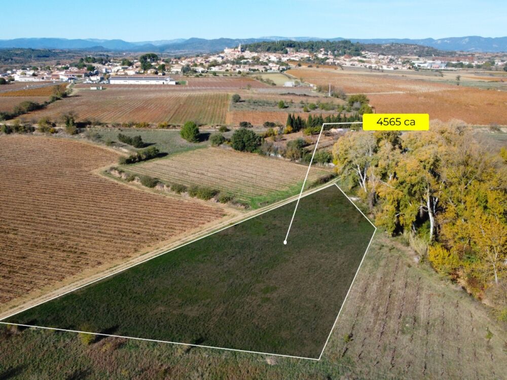 Annonce vente terrain terrain de 11785m2 à Murviel-lès-béziers (34490 ...