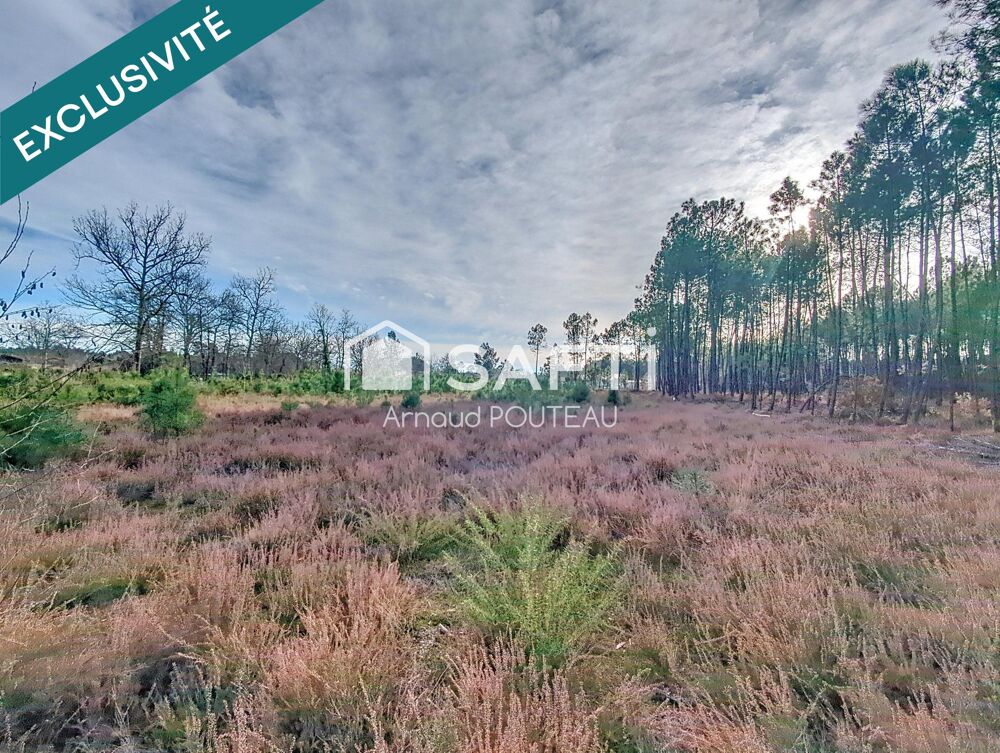 Annonce vente terrain terrain de 814m2 à Le barp (33114) - ParuVendu.fr ...