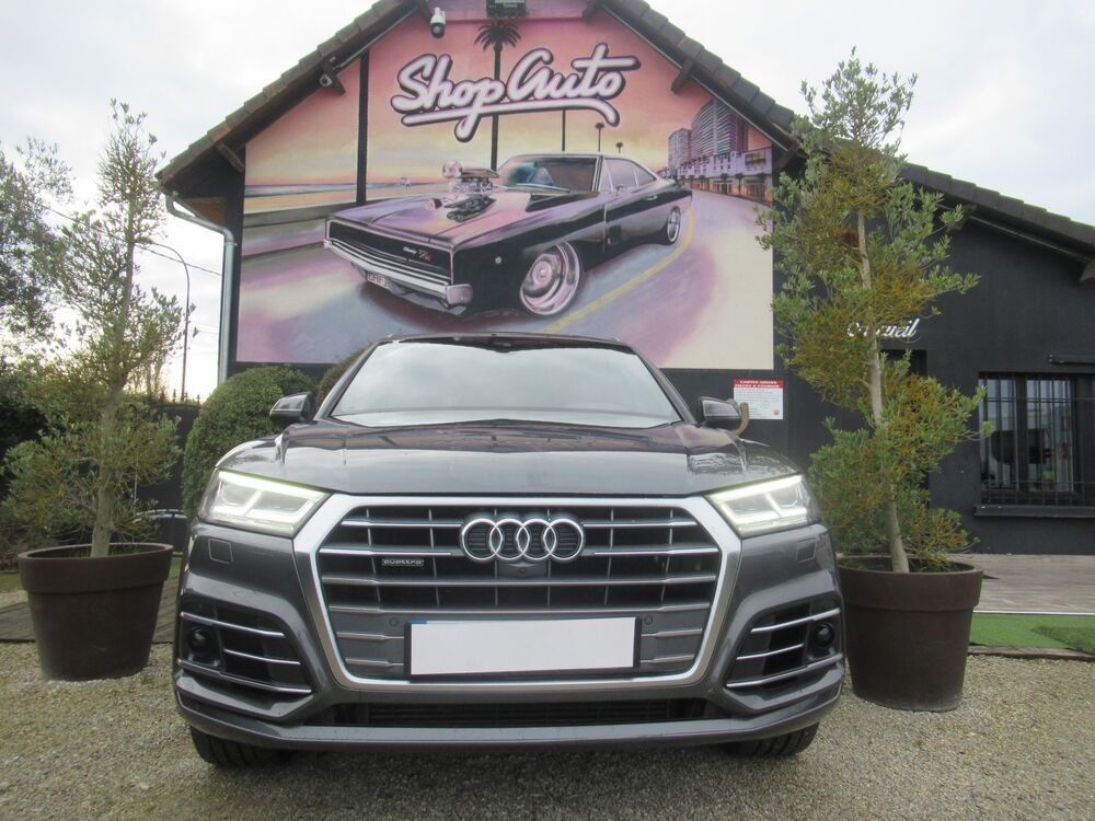 Audi Q5 3.0 tdiq occasion - Diesel - 2018 - 245 380 km - 24 490 ...
