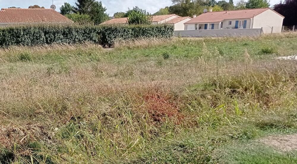 Annonce vente terrain terrain de 514m2 à Le chay (17600) - ParuVendu.fr ...