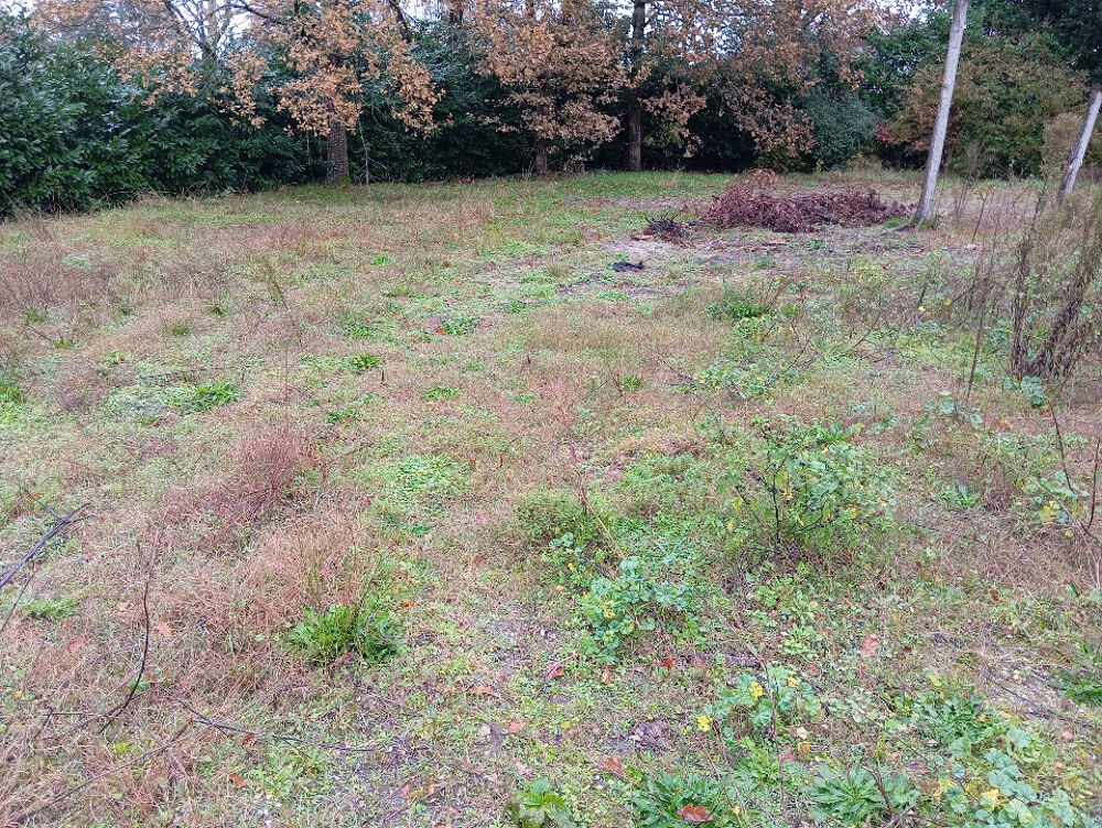Annonce vente terrain terrain de 580m2 à Biganos (33380) - ParuVendu.fr ...