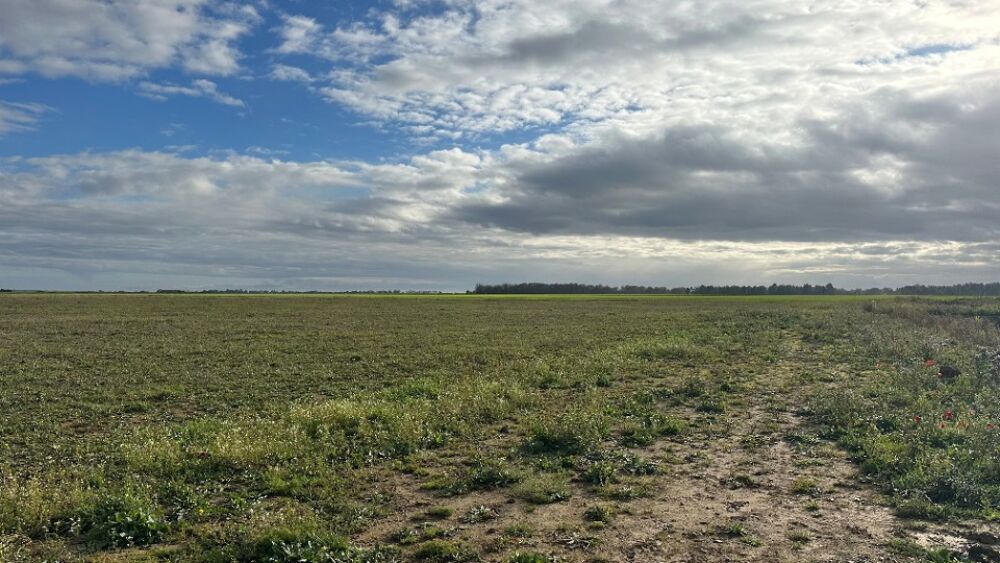Annonce vente terrain terrain de 460m2 à Creully (14480) - ParuVendu.fr ...