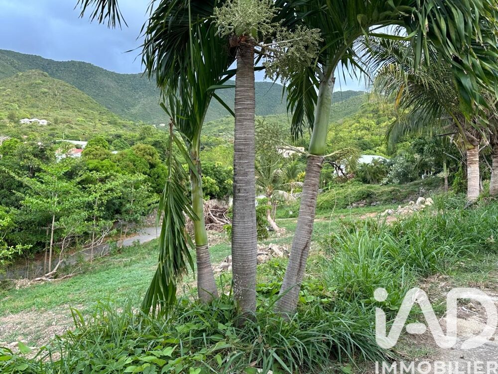 Annonce vente terrain terrain de 2000m2 à Saint martin (97150 ...