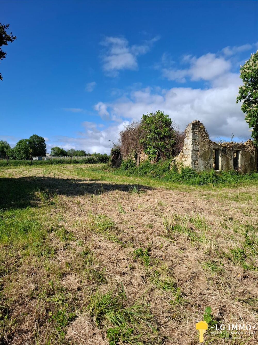 Annonce vente en viager terrain terrain de 1957m2 à St georges des ...