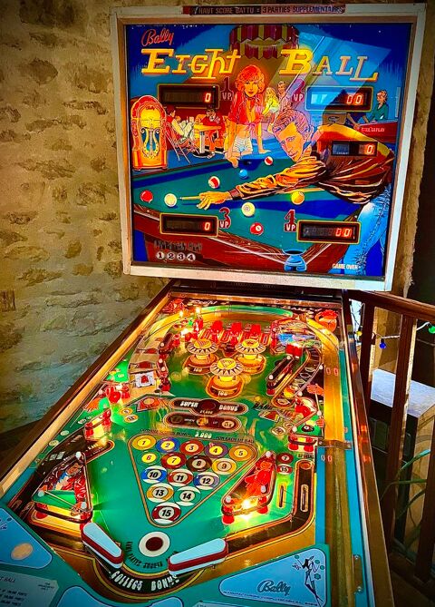 Flippers occasion - ParuVendu