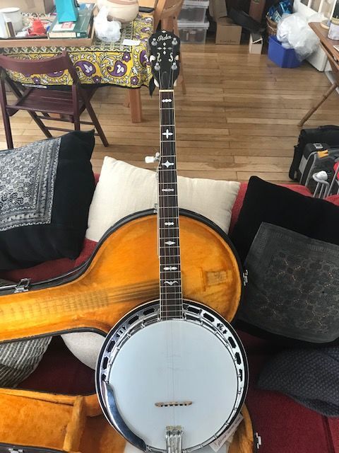 Banjos occasion , annonces achat et vente de banjos - ParuVendu Mondebarras