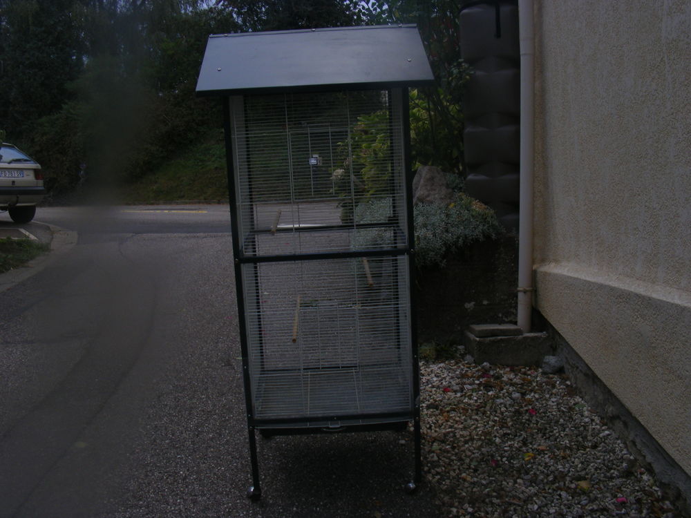 Achetez volier oiseau volier occasion, annonce vente à Baccarat (54 ...