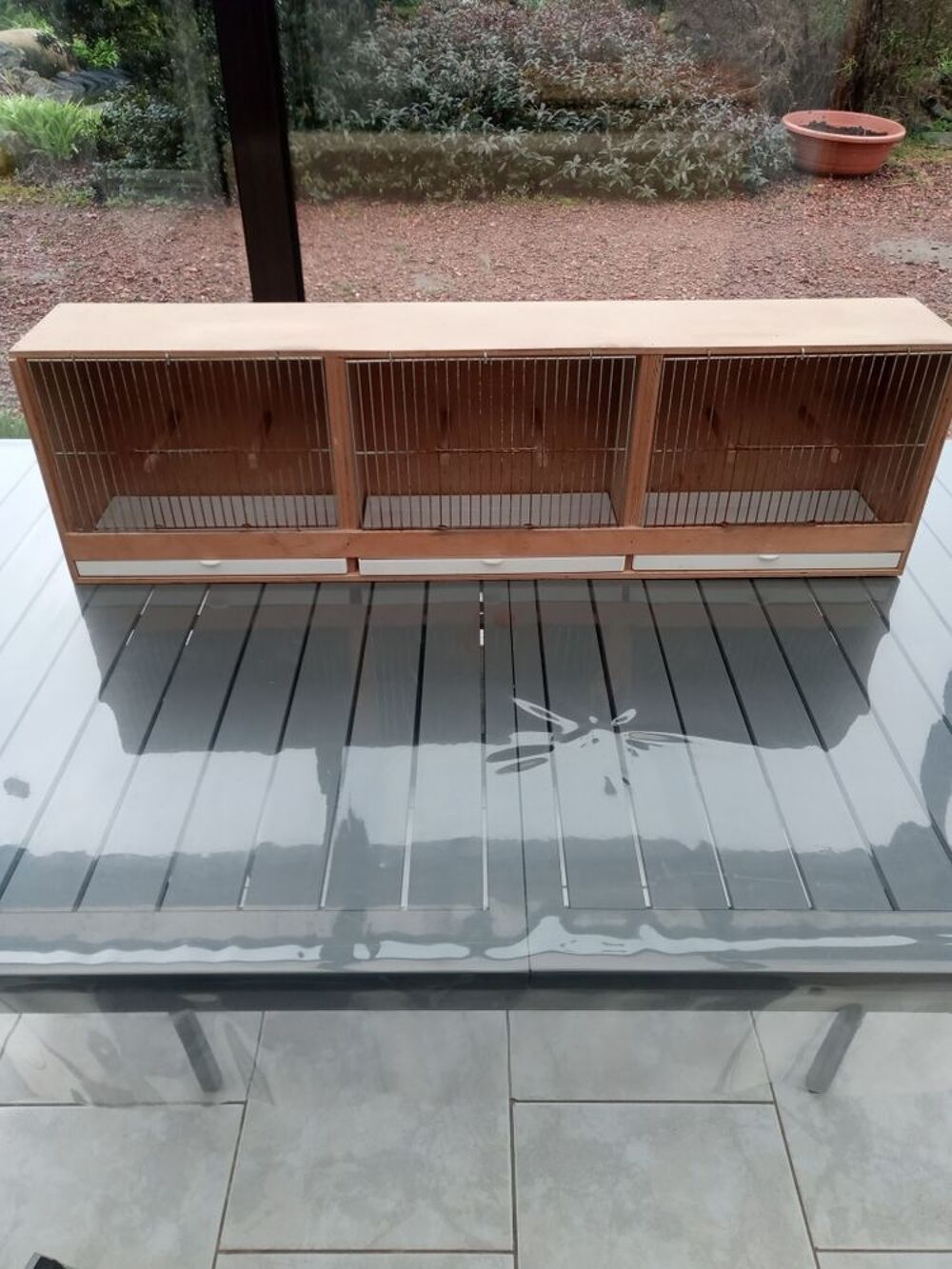 Achetez cage canaris occasion, annonce vente à Vendegies-au-Bois (59 ...