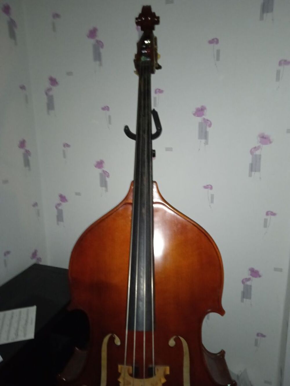 Achetez contrebasse 3/4 quasi neuf, annonce vente à Givonne (08 ...