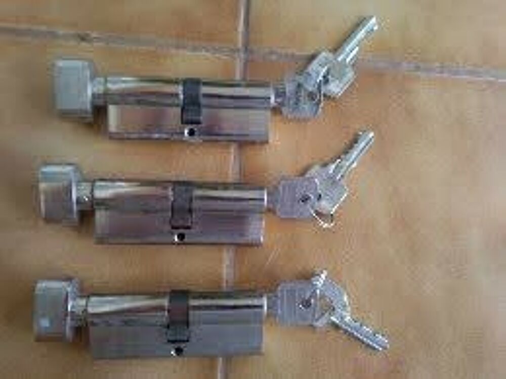 Achetez canons de porte quasi neuf, annonce vente à Meaux (77) WB170657815