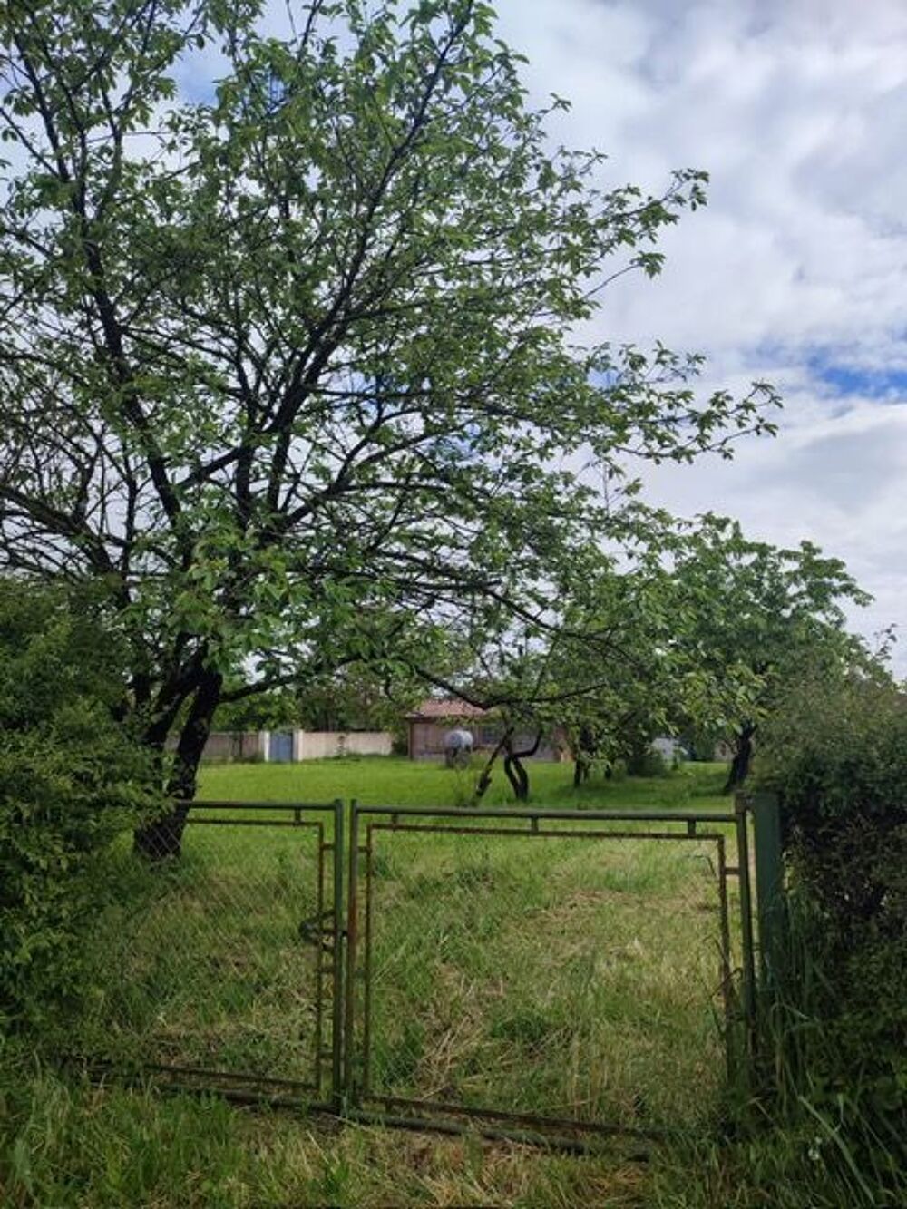 Annonce terrain à bâtir ? saint-mard (17700), vente terrain de ...