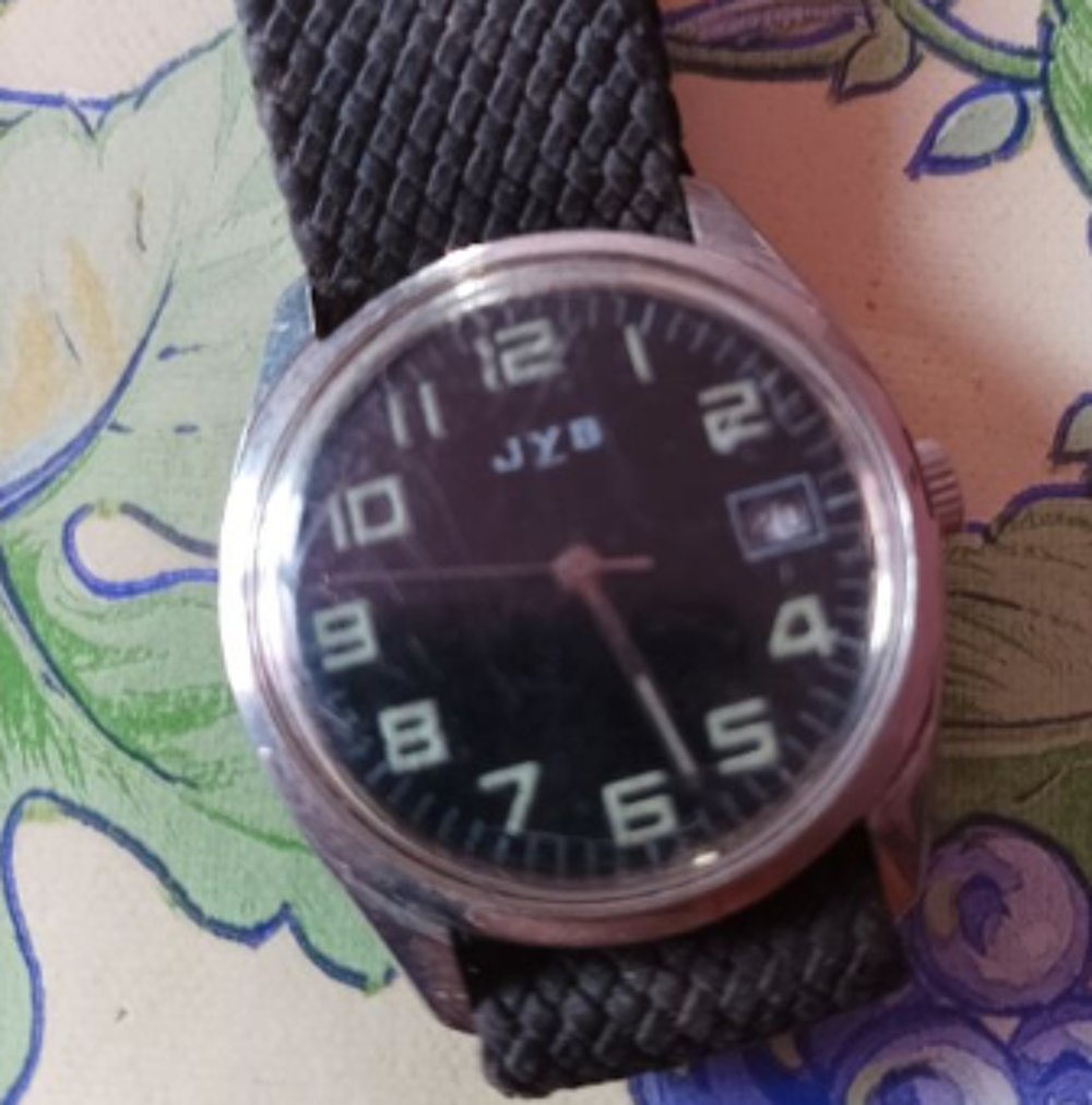 Achetez montre homme jyb occasion, annonce vente à Pluneret (56) WB171304069