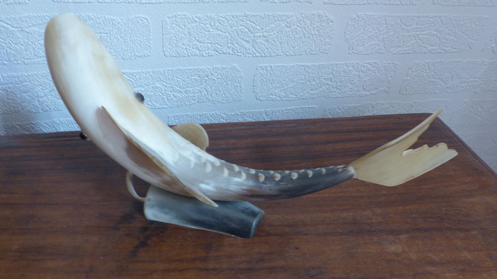 Achetez poisson en corne occasion, annonce vente à Auxonne (21) WB168256883