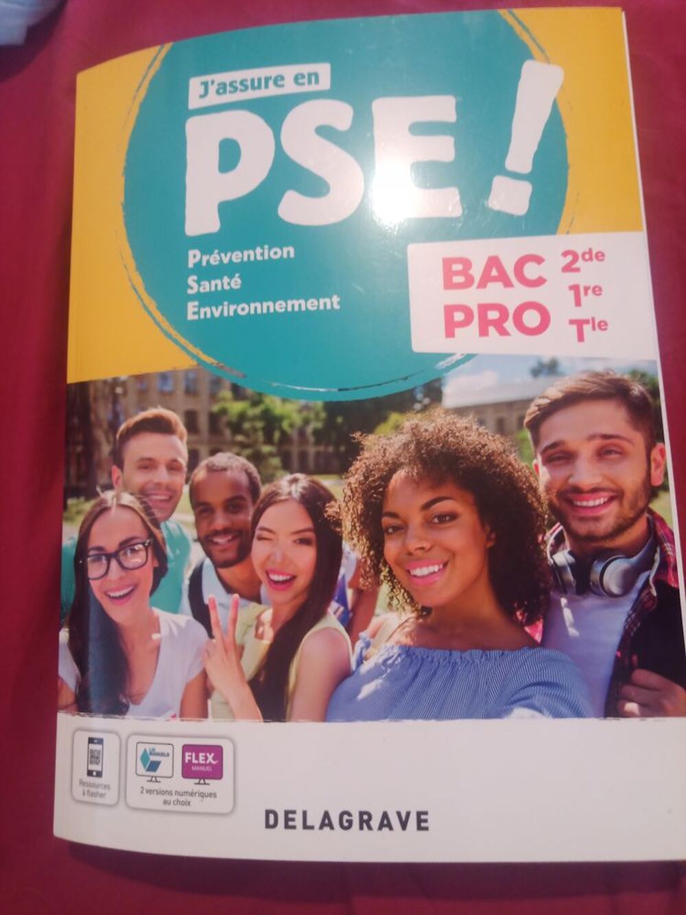 Achetez livre pse bac pro a neuf - revente cadeau, annonce vente à Martinique (97) WB170661989
