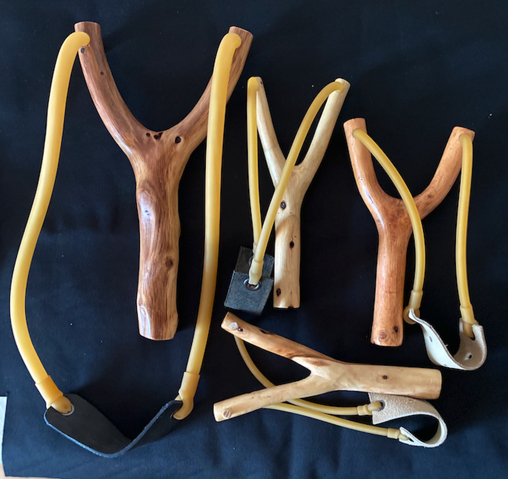 Achetez frondes frondes occasion, annonce vente à Morières-lès-Avignon ...