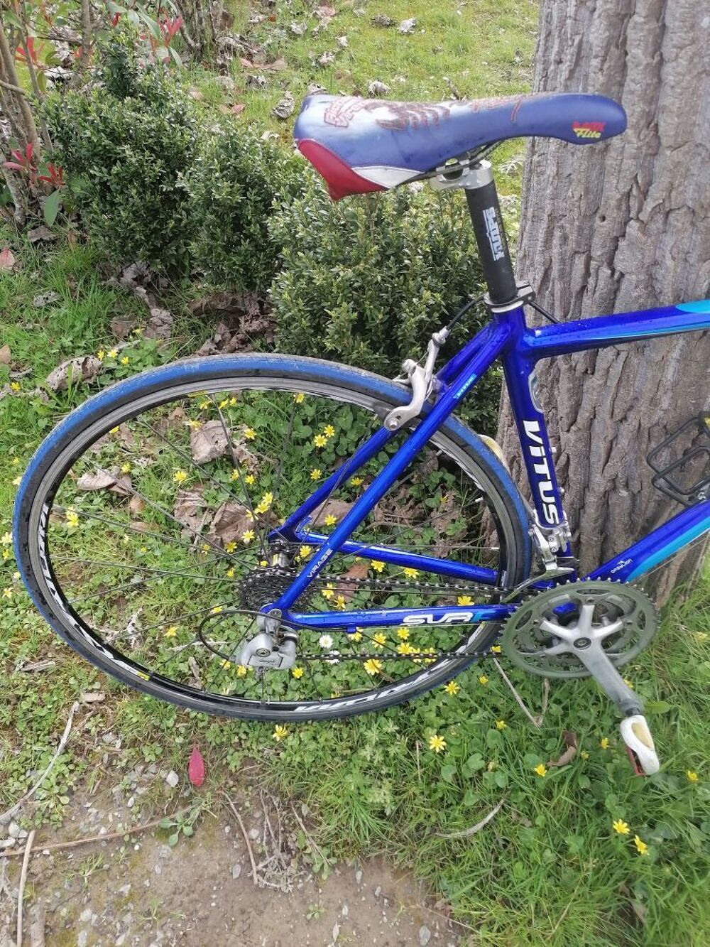 Achetez vélo vitus bleu occasion, annonce vente à Guéthary (64) WB170638959