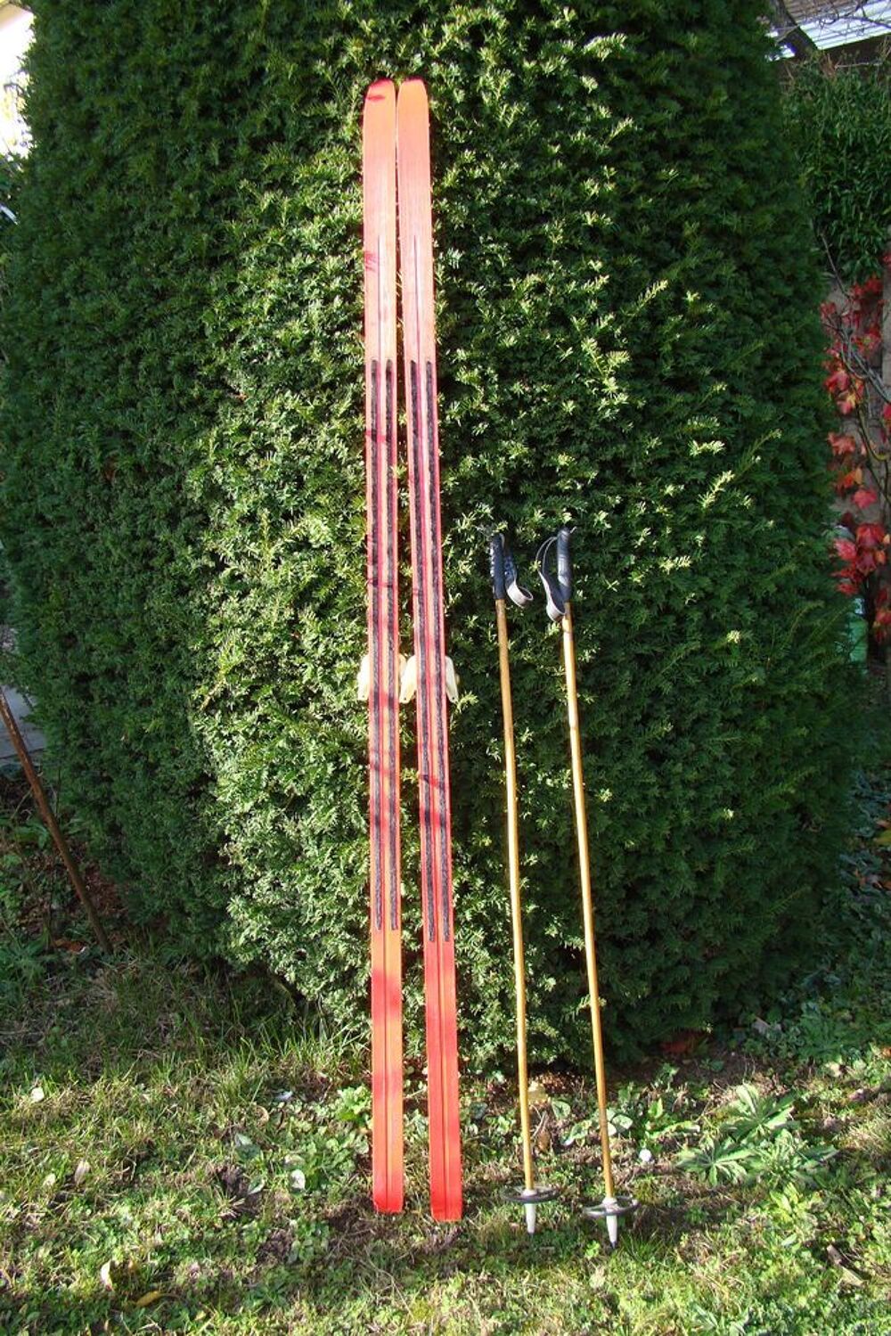 Achetez anciens skis occasion, annonce vente à Gargenville (78) WB176269302