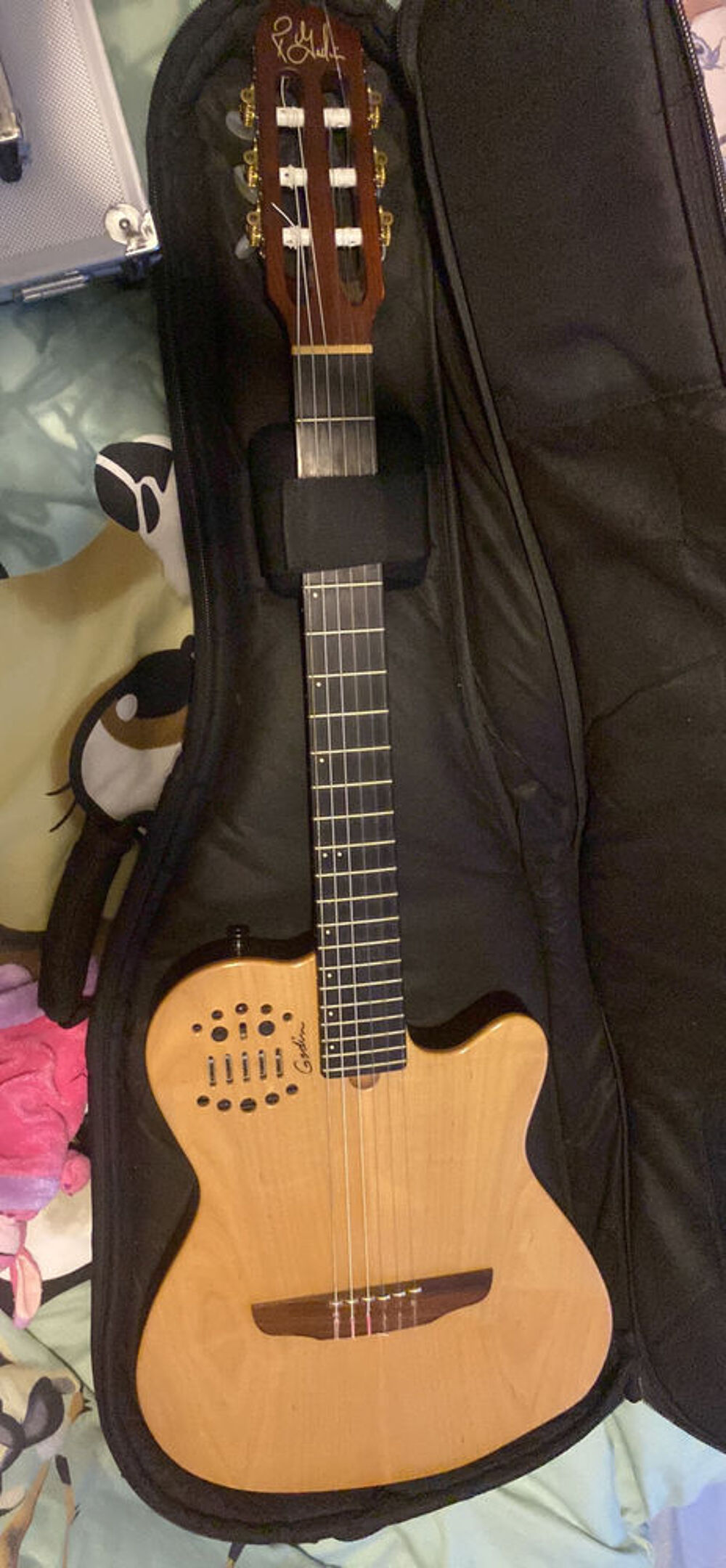 Achetez godin multiac acs sa occasion, annonce vente à Châteauneuf-les ...