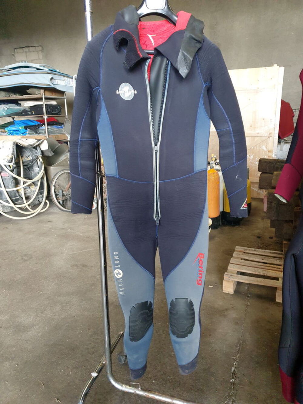Achetez bering aqualung occasion, annonce vente à Tours (37) WB170916336