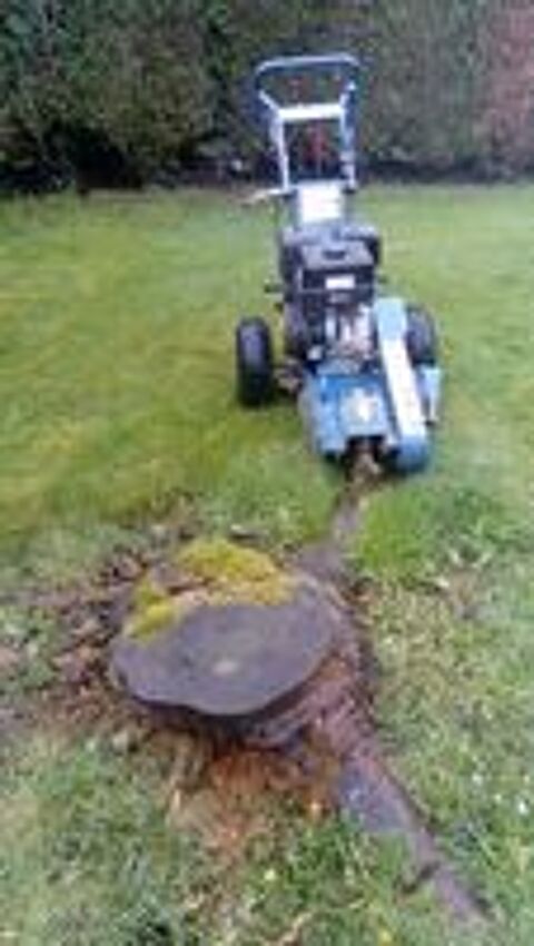Rogneuse souches dessoucheuse : annonce service travaux, réparations ...
