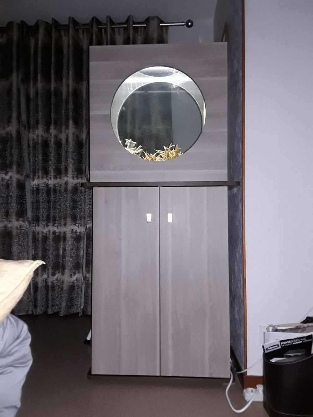 Annonce poissons, aquarium, Évian-les-Bains (74500) - WA173085035 ...