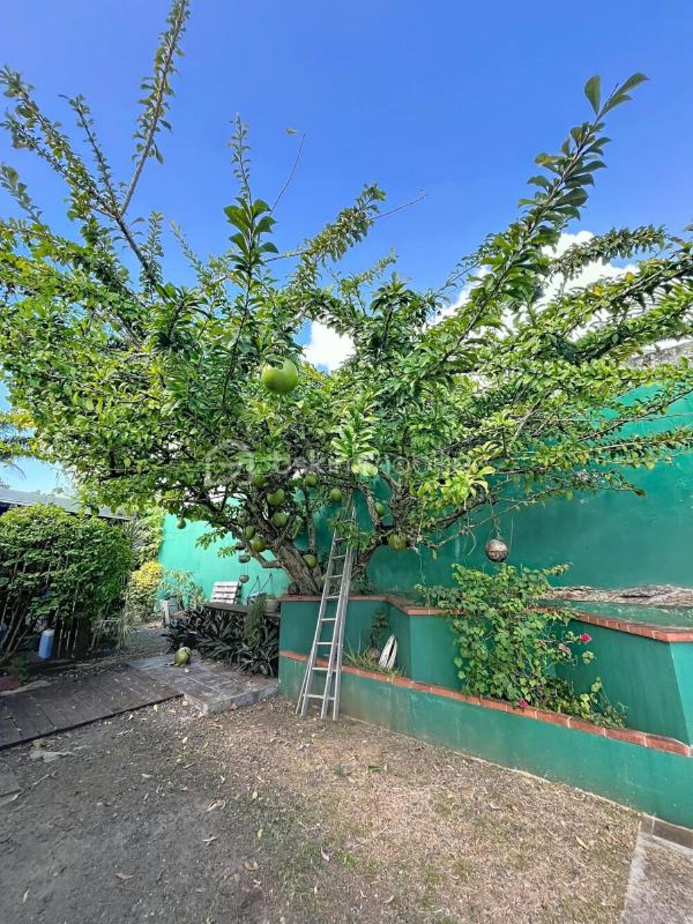 Annonce vente villa 5 pièces de 163m2 à Le gosier (97190) - ParuVendu ...