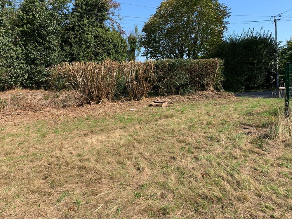 Annonce vente terrain terrain de 4786m2 à La trinite de reville (27270 ...