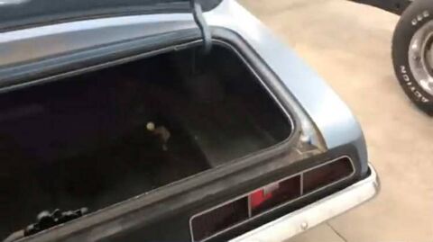 Voiture ancienne, de collection - 1968 - 27500 € - Lyon (Rhône ...