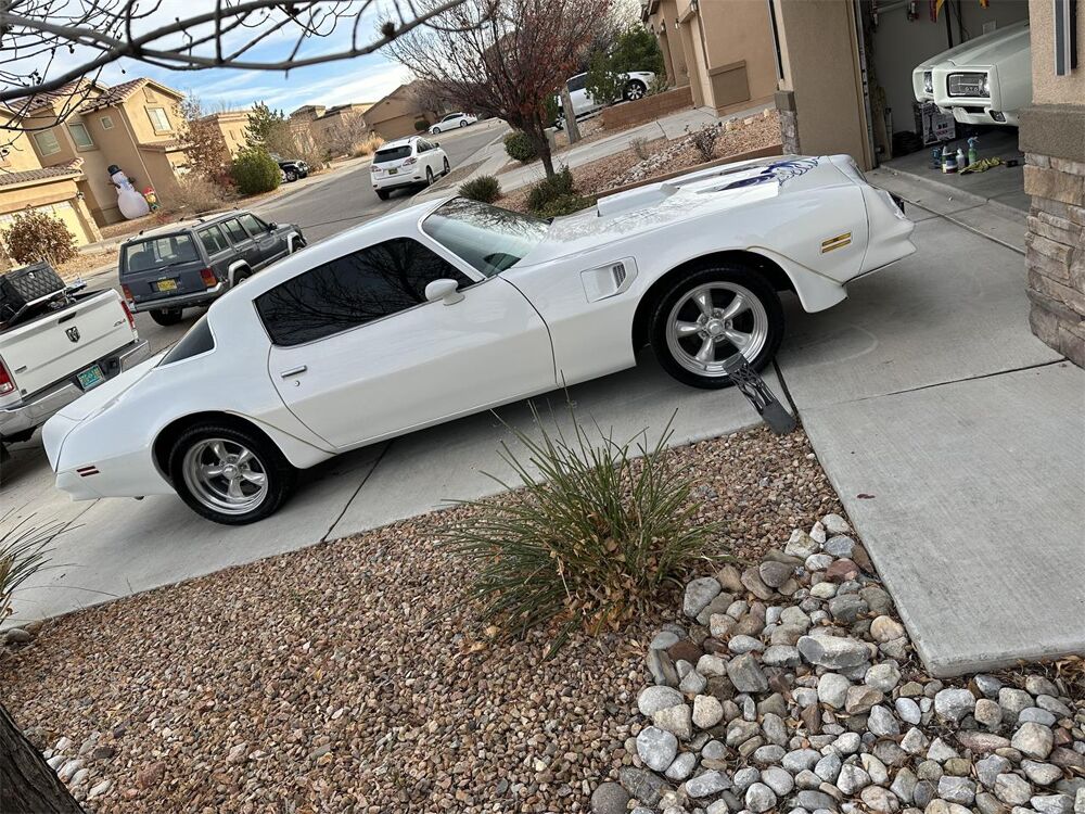 Pontiac Firebird 1978 occasion - Essence - 1978 - 0 km - 43 500 ...